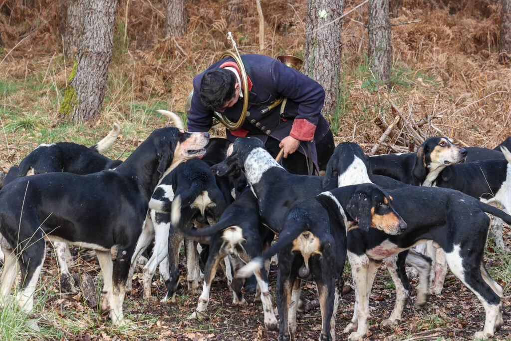 « Un jour de chien », de Xavier Patier : la toute dernière chasse ...